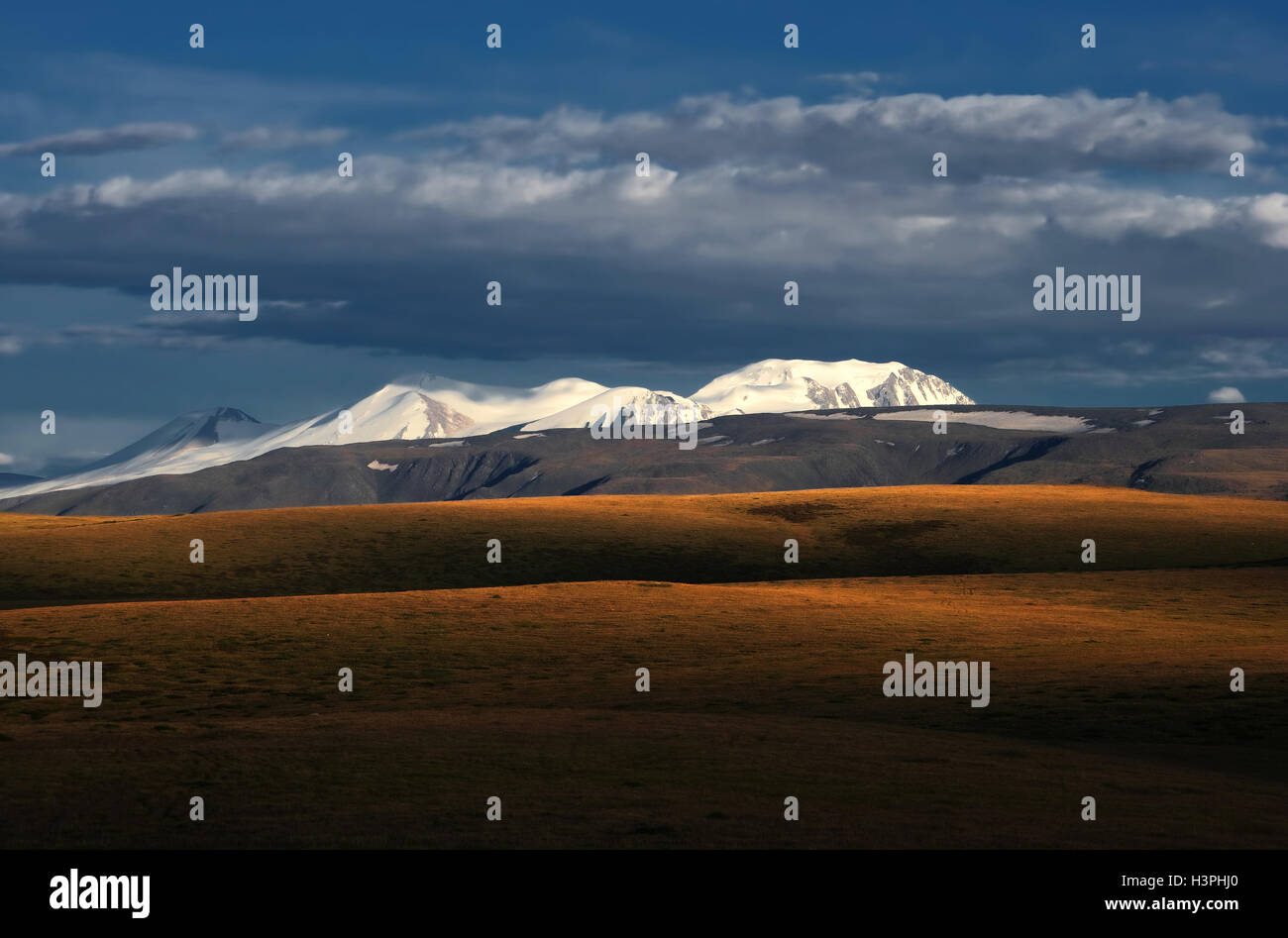A highland sunset fields with yellow grass on a background of dramatic ...