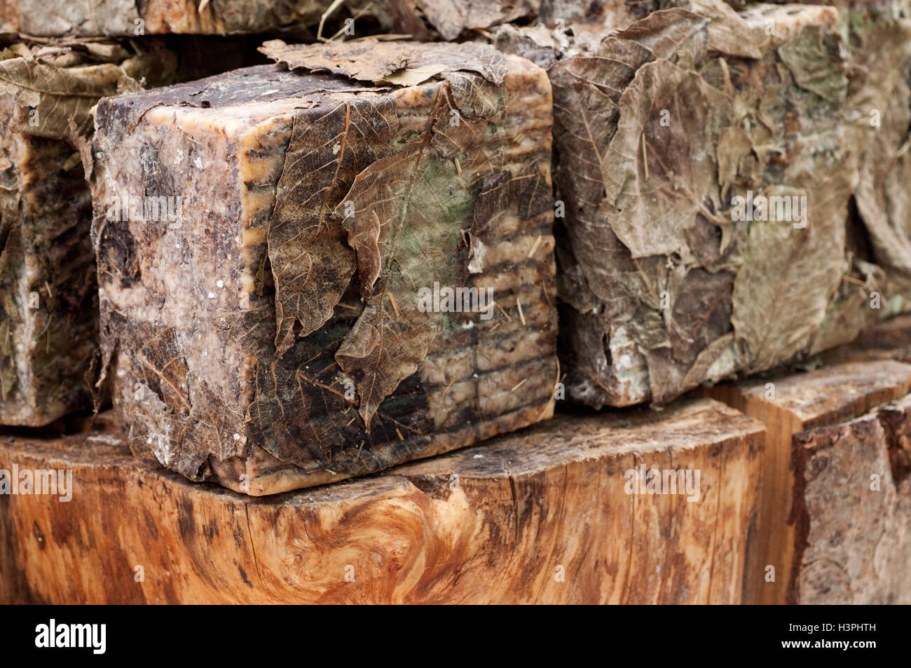 Italy, Lombardy, Cheese Aged in Walnut Leaves Stock Photo - Alamy