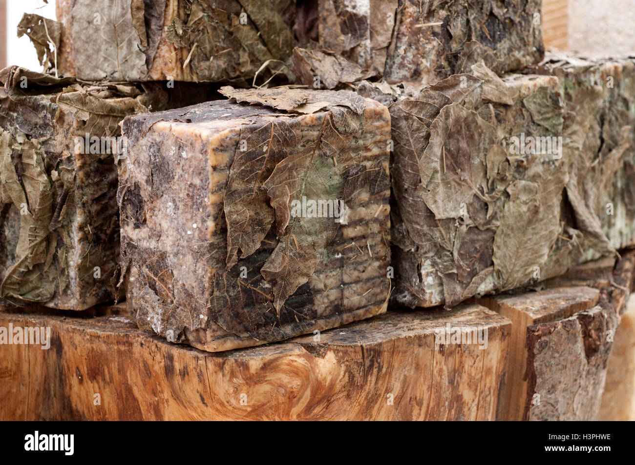 Italy, Lombardy, Cheese Aged in Walnut Leaves Stock Photo - Alamy