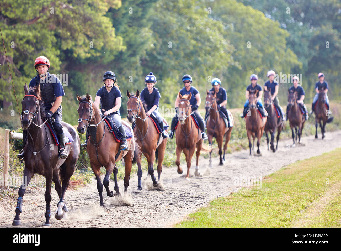 Horses being exercised on the all weather track during an open day at ...