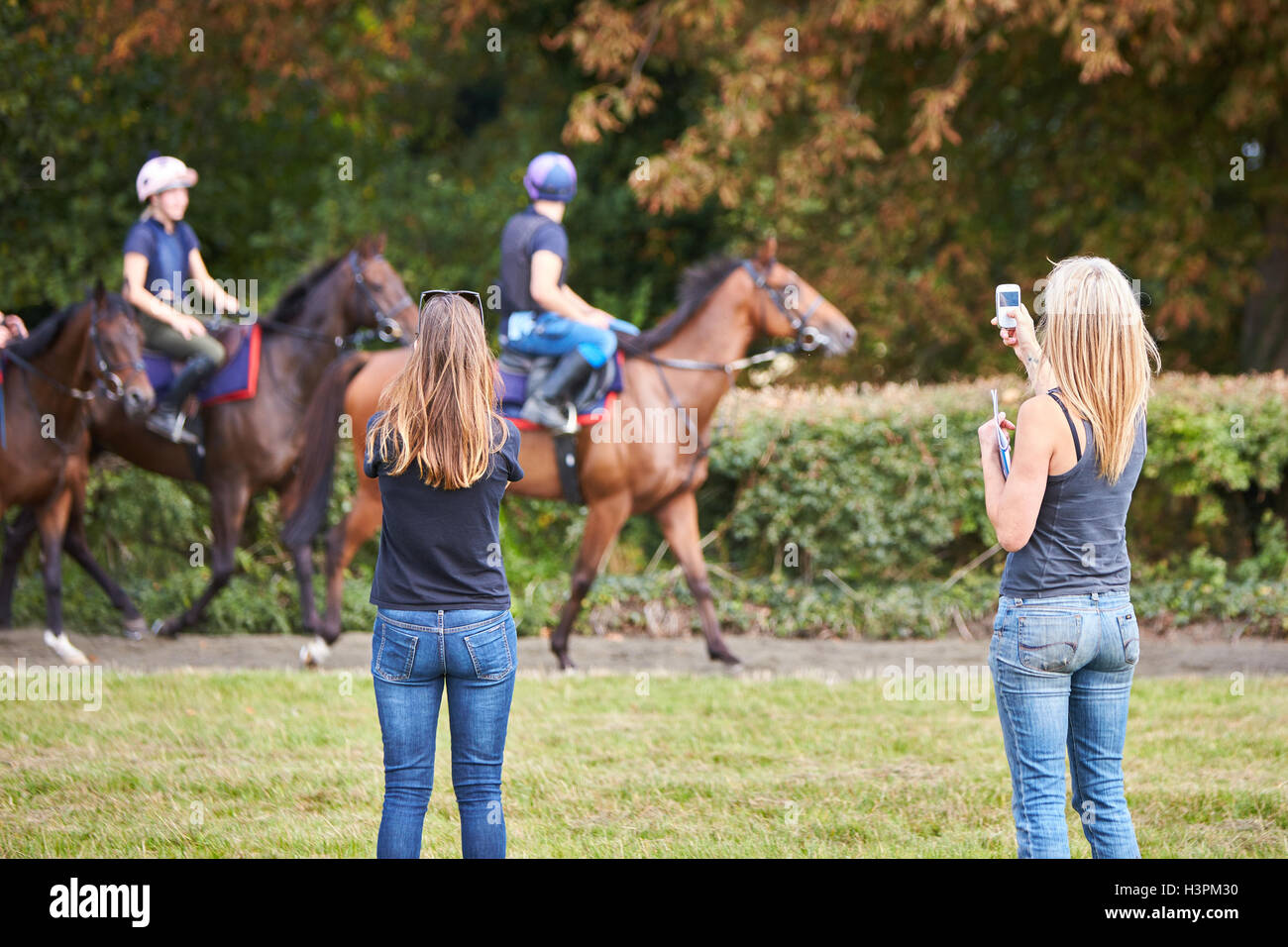 Horses being exercised on the all weather track during an Open day at ...