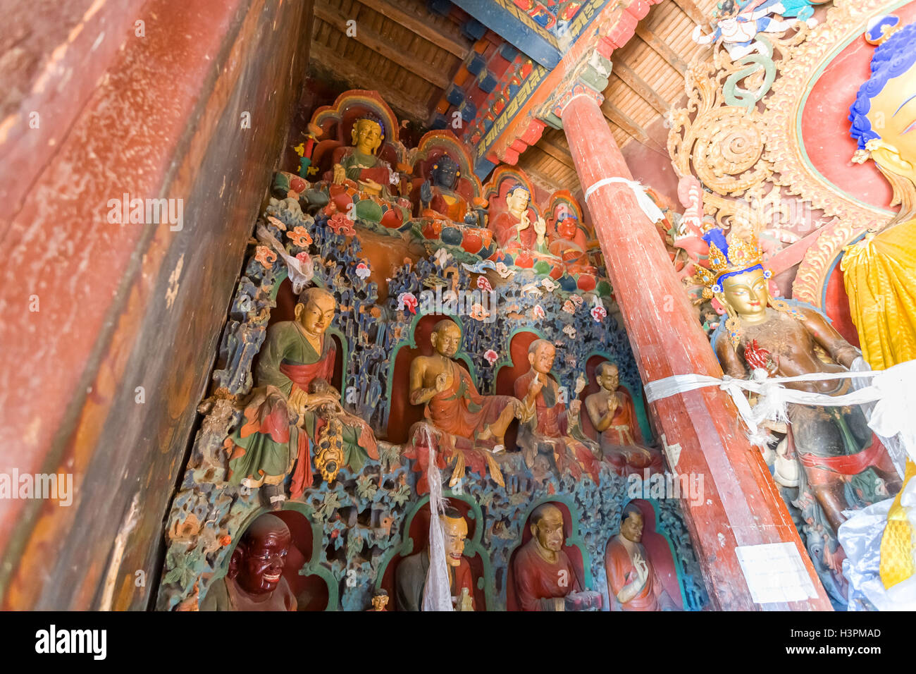 Palkor hi-res stock photography and images - Alamy