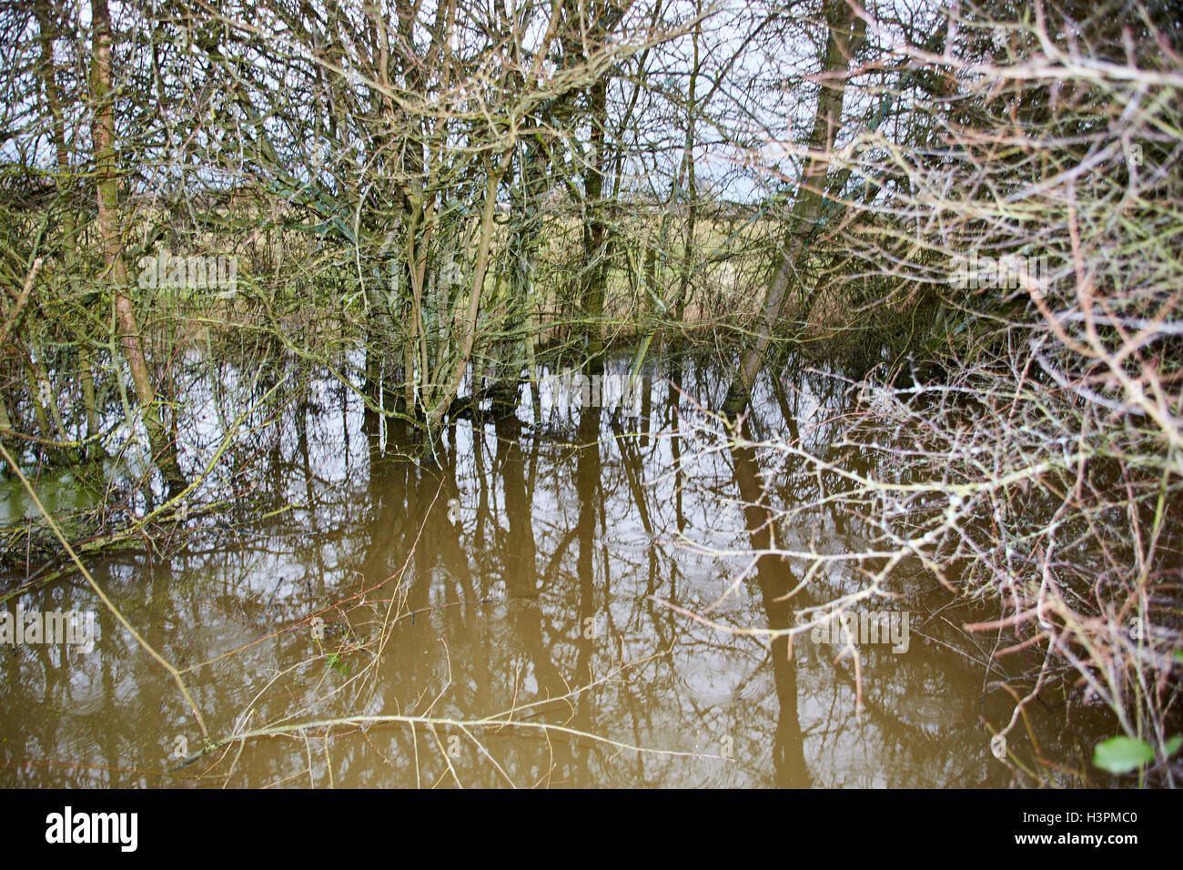 Dredging ditch hi-res stock photography and images - Alamy