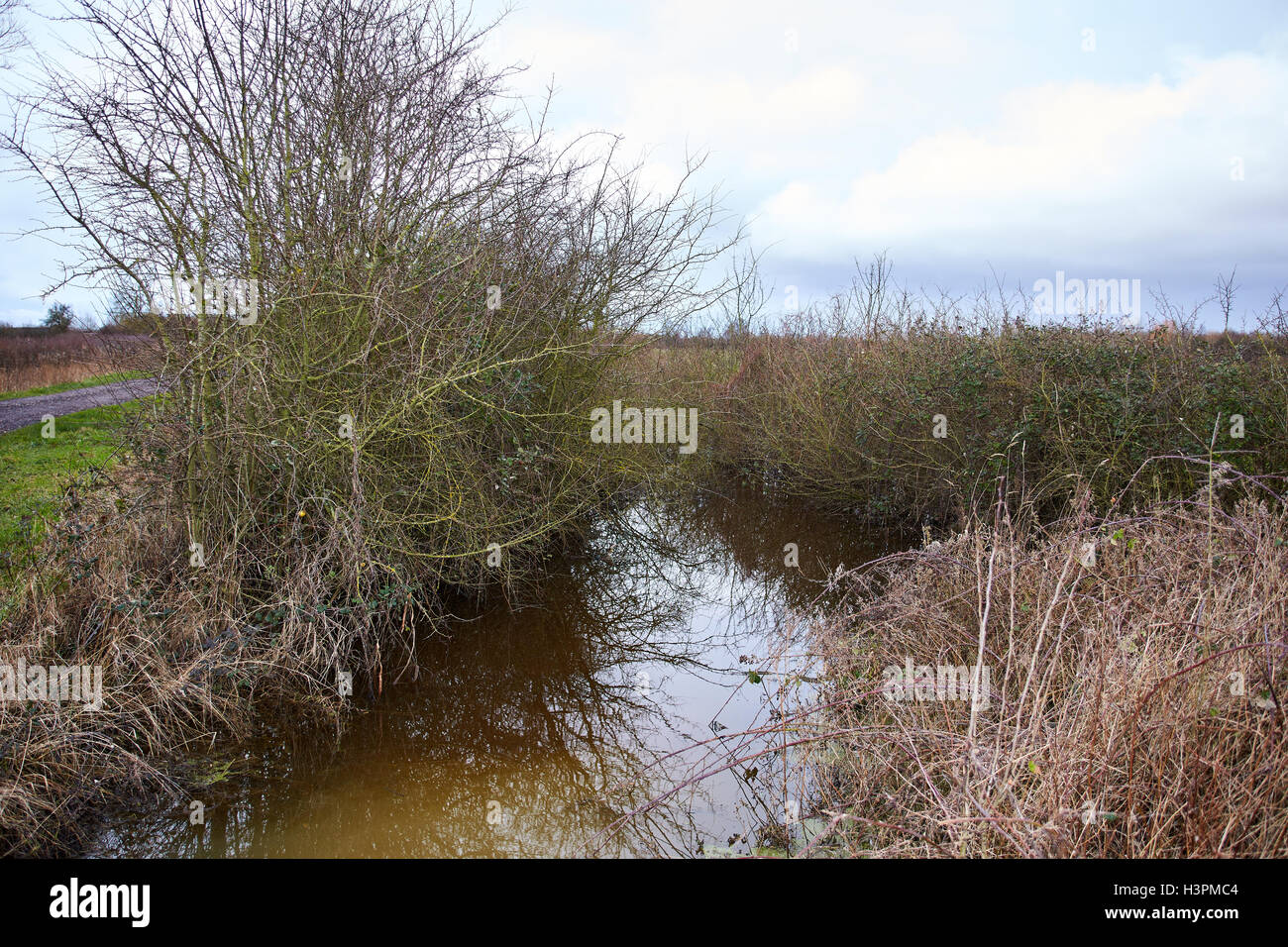 Dredging ditch hi-res stock photography and images - Alamy