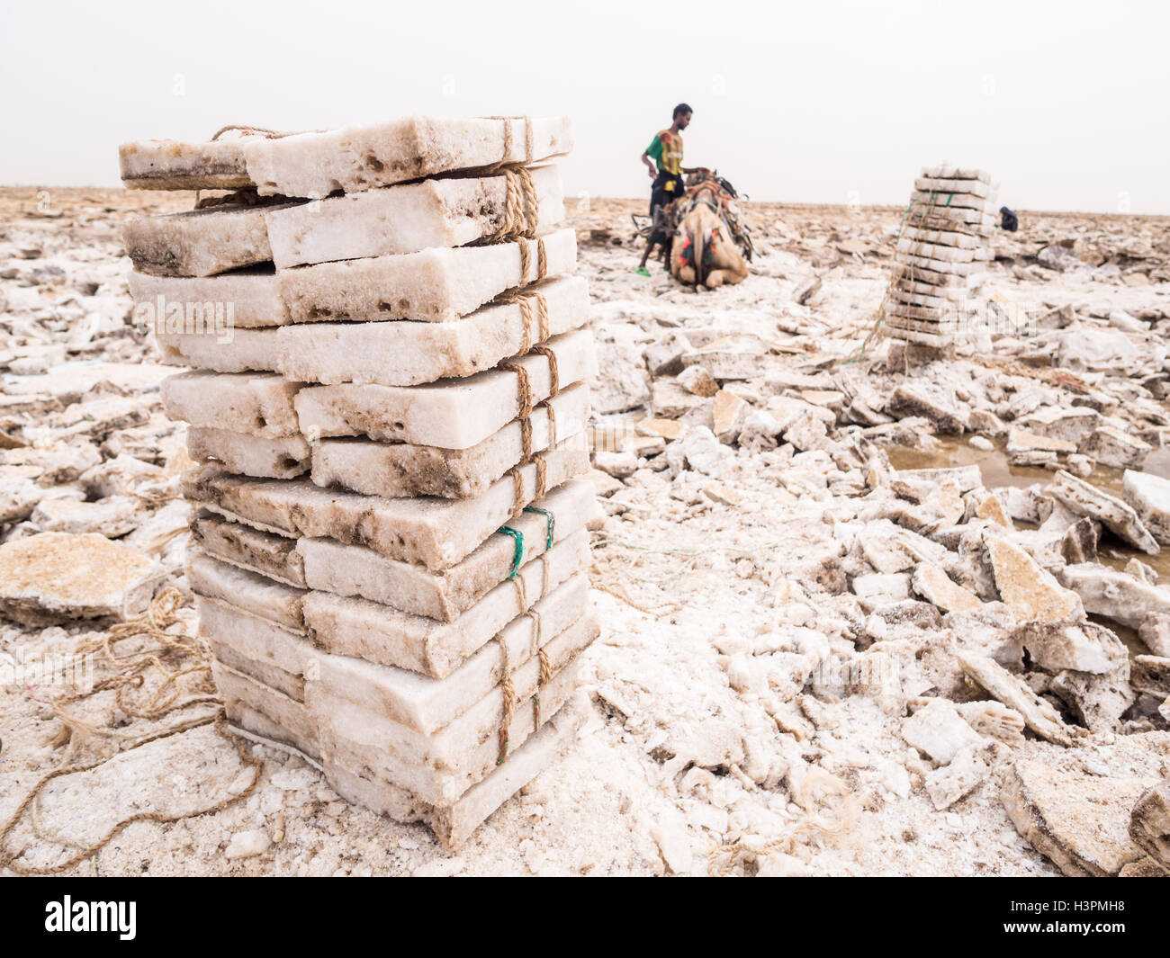 Afar man mining salt from salt flats in Afar region, Danakil Depression ...