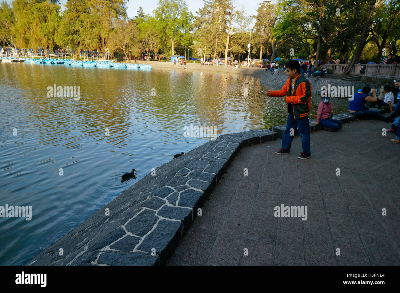 Lago de Chapultepec, Mexico City, Mexico. Chapultepec lake in ...