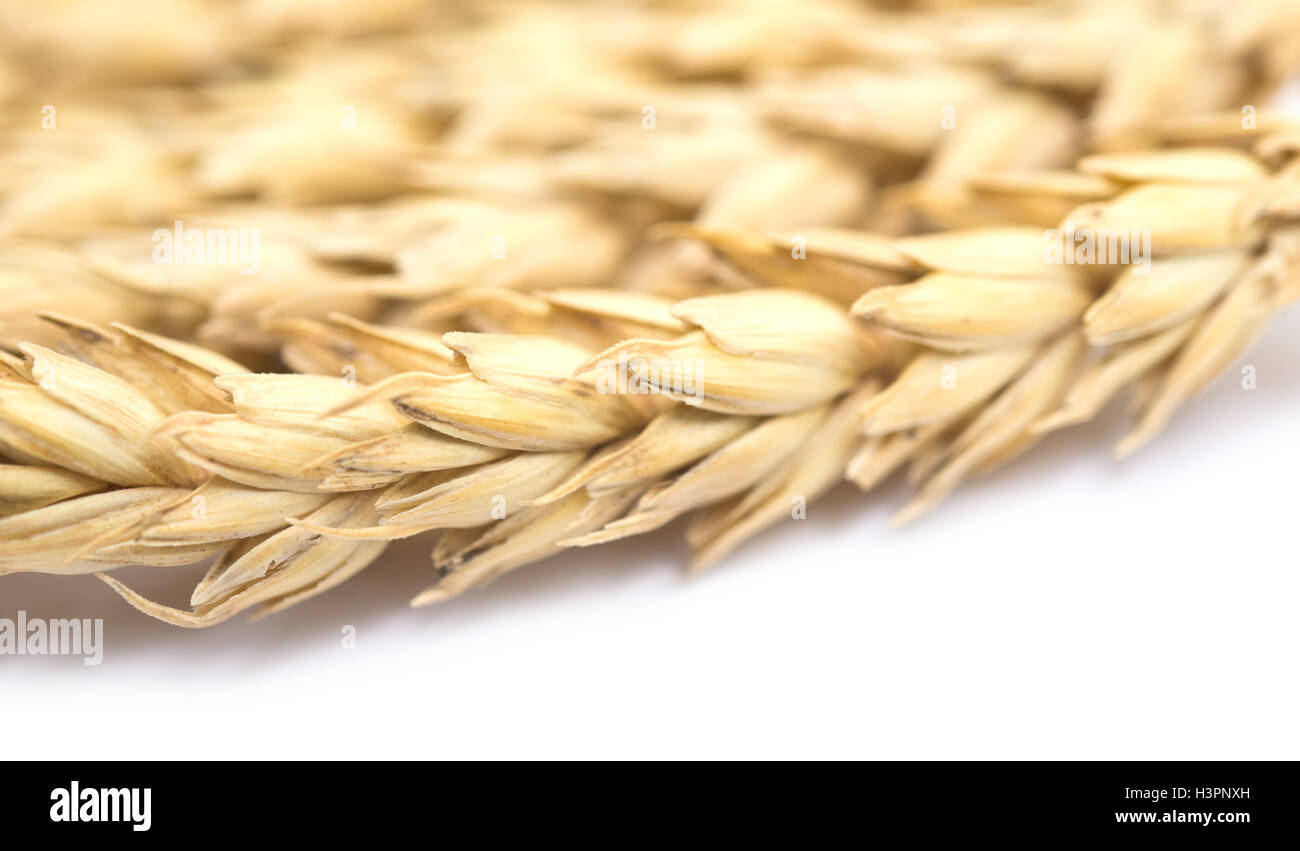 wheat isolated on white background Stock Photo - Alamy