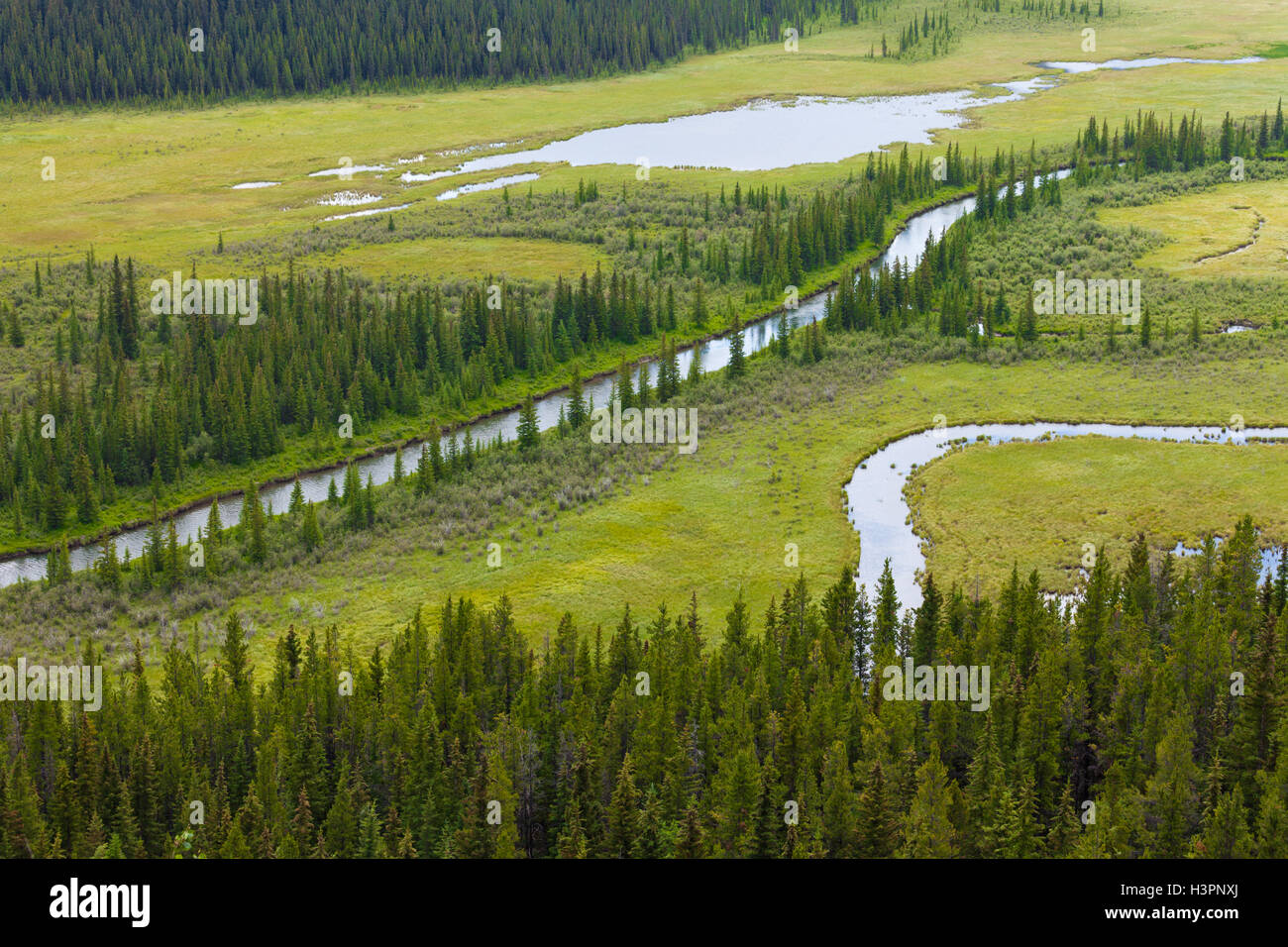 Aerial canada wetland hi-res stock photography and images - Alamy
