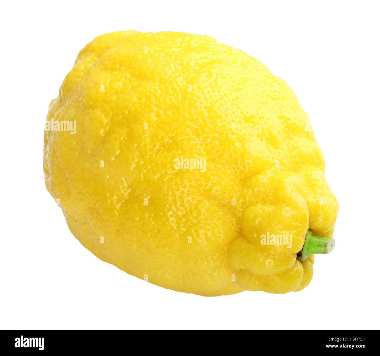 Single fresh yellow lemon Stock Photo - Alamy