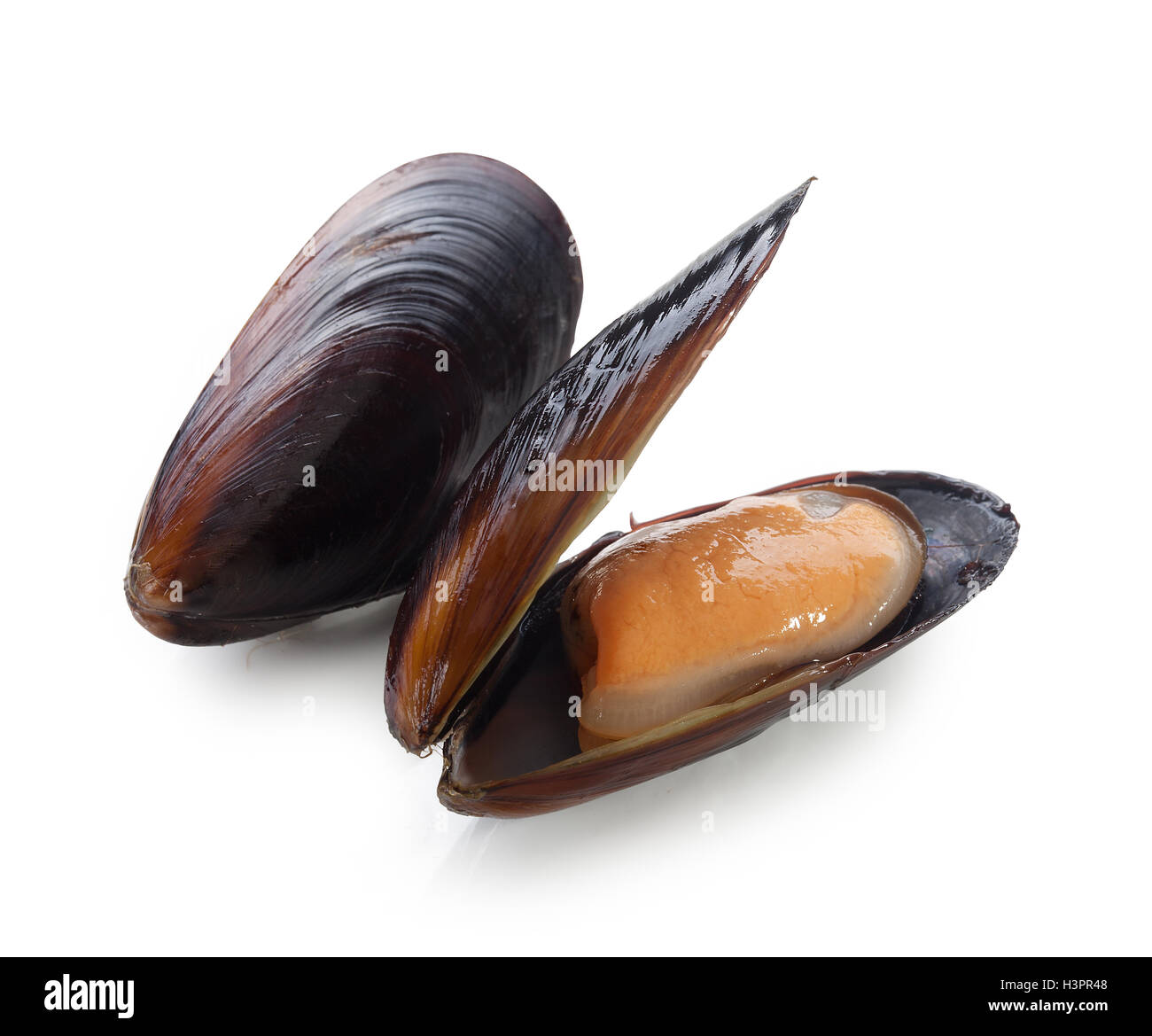 Mussel in the shell Stock Photo - Alamy