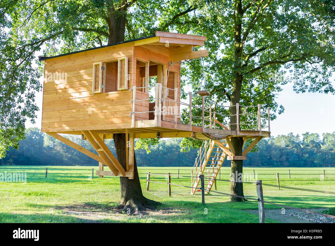 Newly built wooden tree hut in oak trees with pasture Stock Photo - Alamy