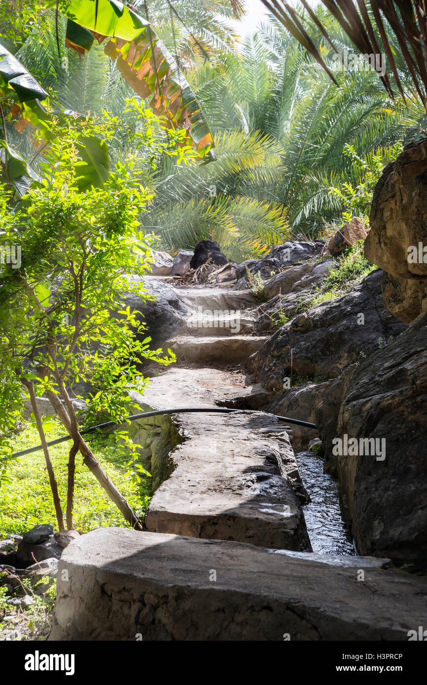 Path Misfah Abreyeen Stock Photo - Alamy