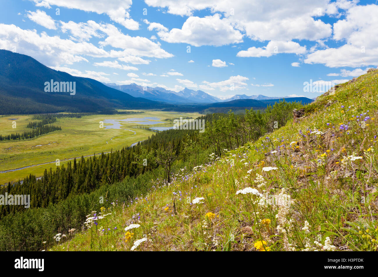 Valley wetland Willmore Wilderness Alberta Canada Stock Photo - Alamy