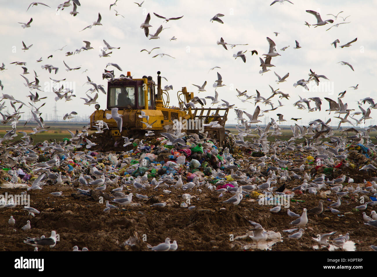 Landfill rubbish bulldozers processing garbage Stock Photo - Alamy