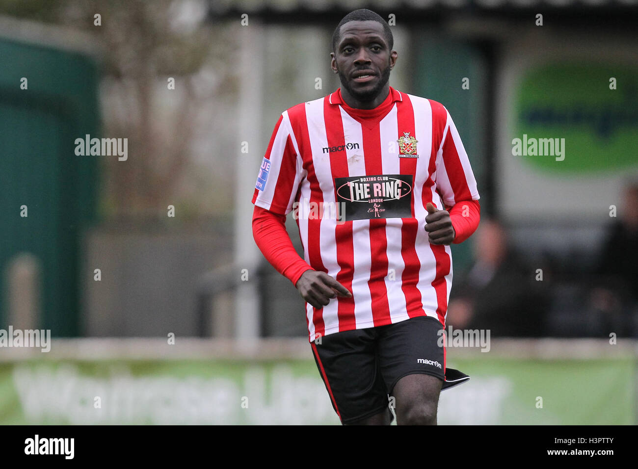 Wayne gray hi-res stock photography and images - Alamy