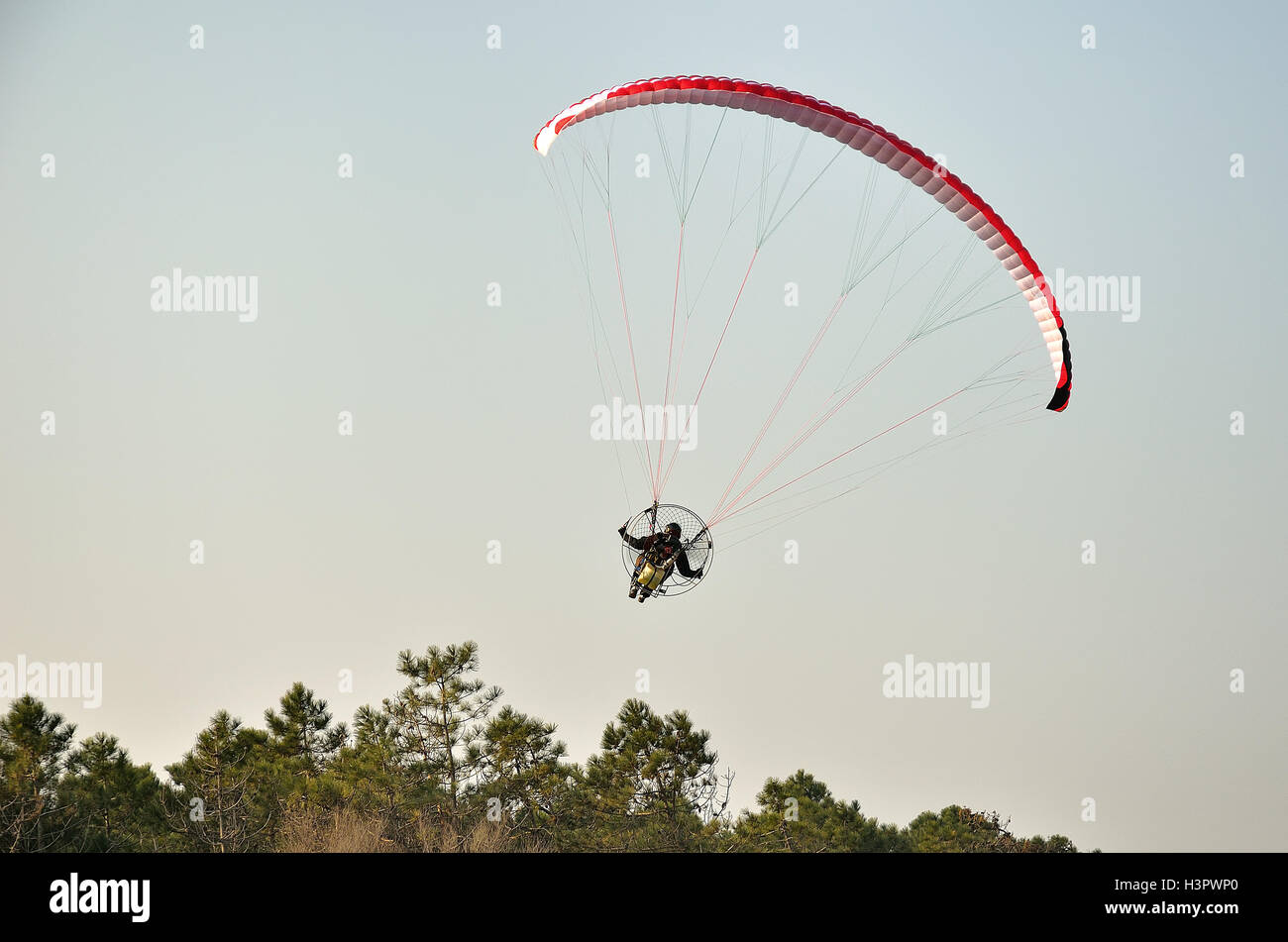 Paraglider in flight in blue sky Stock Photo - Alamy