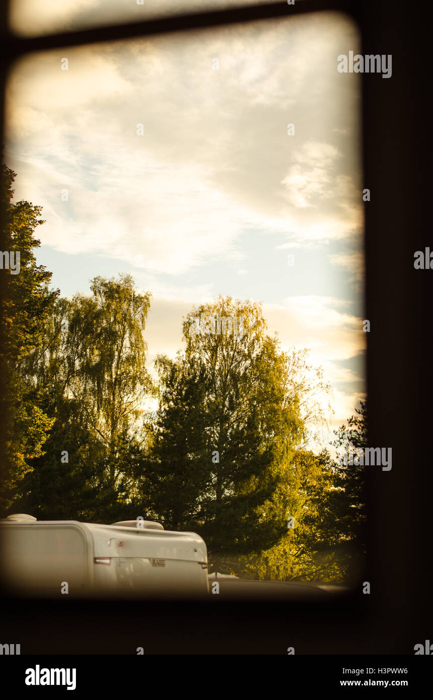 Window through the trees hi-res stock photography and images - Alamy