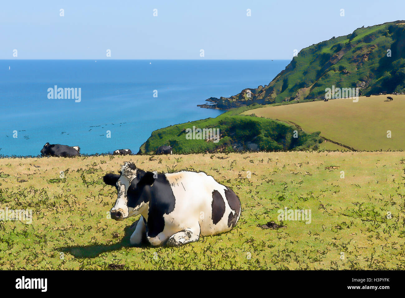 Cornish countryside and coast with black and white dairy cow Stock ...