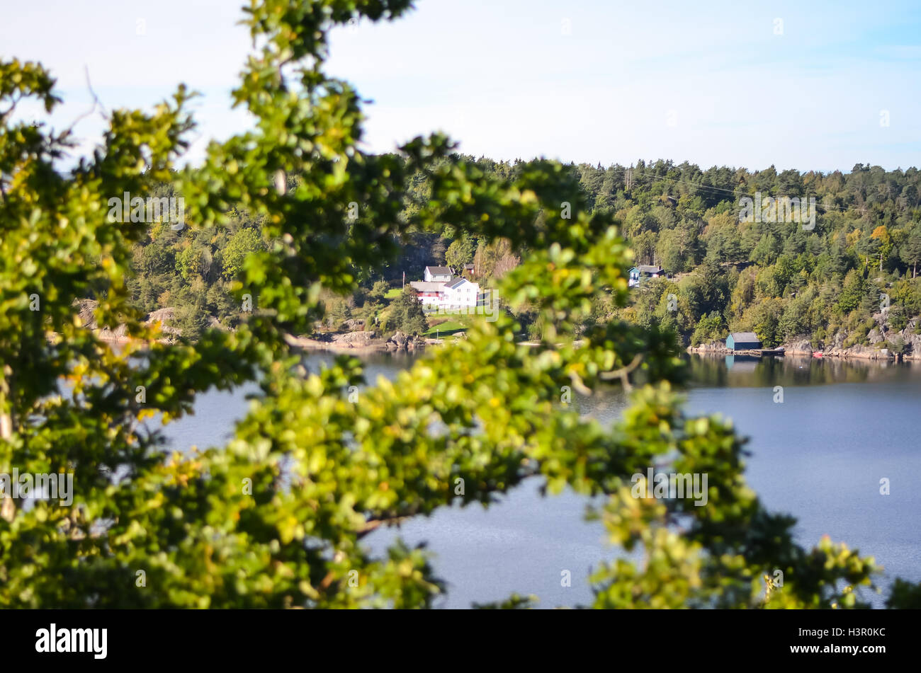 view through green plants on fjord landscape, norway Stock Photo - Alamy