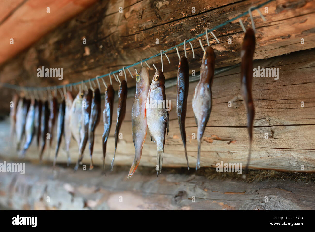 fish drying on rope outdoor Stock Photo - Alamy