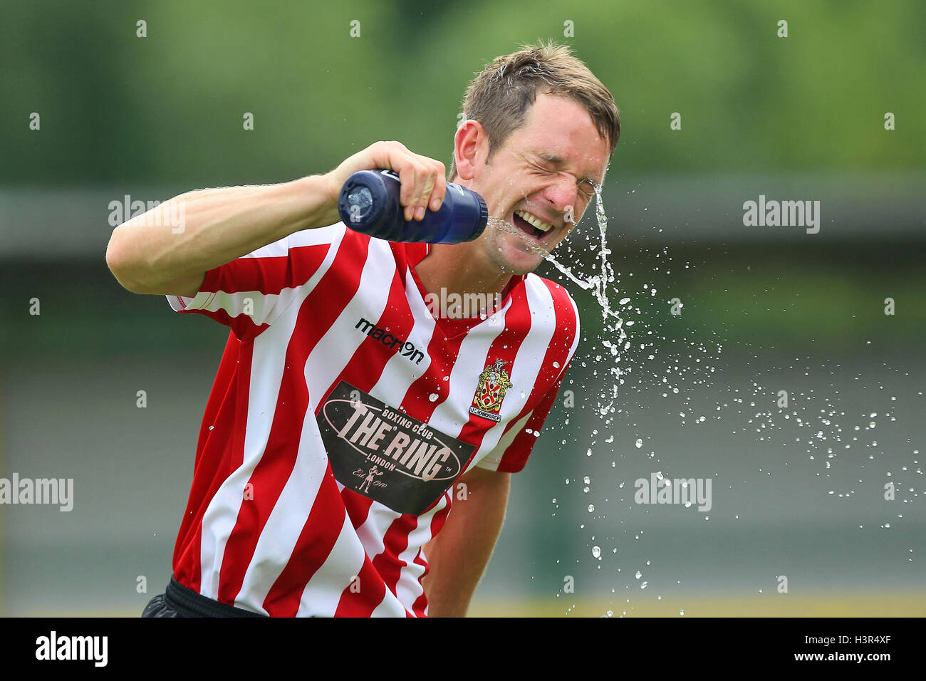 Rook lane hi-res stock photography and images - Alamy