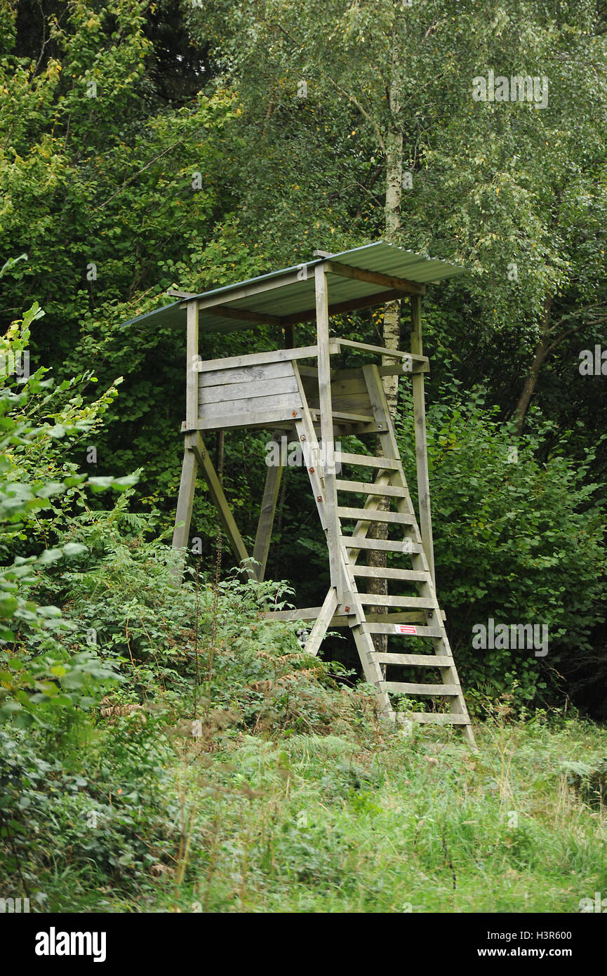 Bird watching tower Stock Photo - Alamy