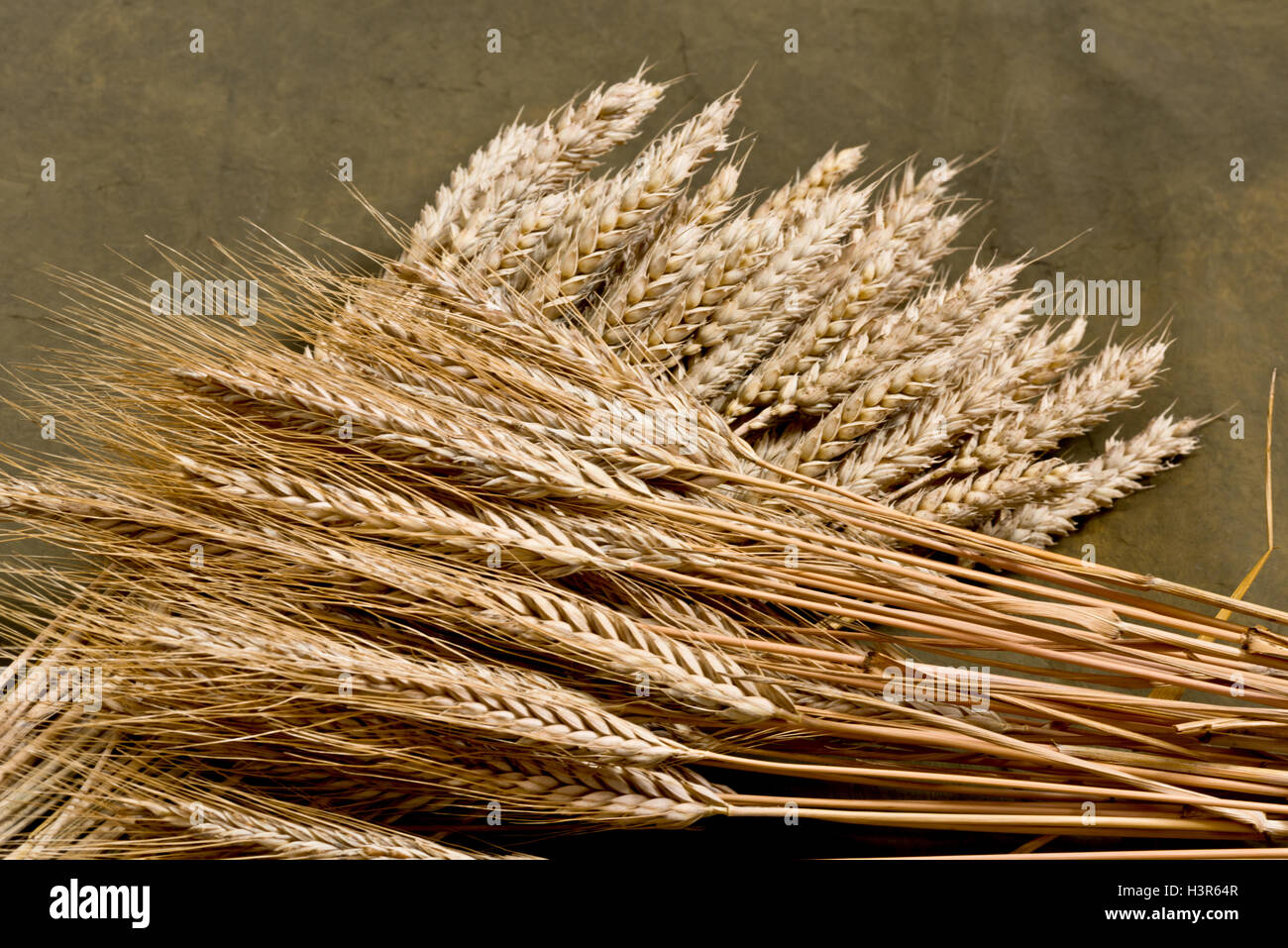 The sheaf of wheat hi-res stock photography and images - Alamy