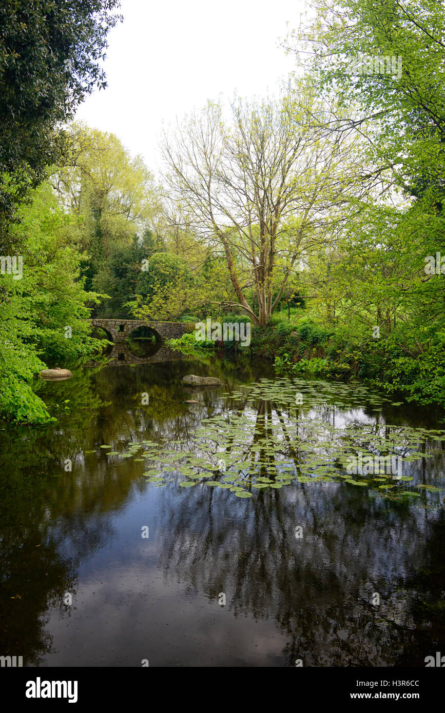 Altamont gardens Carlow lake bridge pond lily spring leaves foliage ...