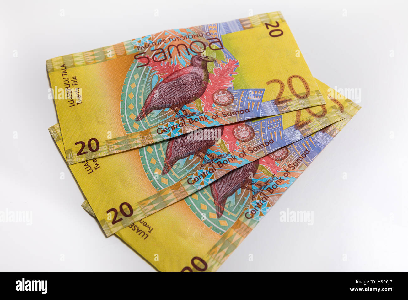Samoa Tala bank notes isolated on white Stock Photo - Alamy