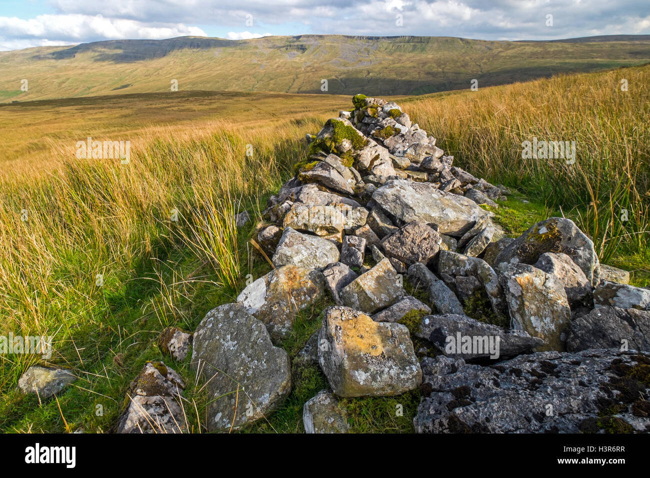 Typical Yorkshire Dales scenery in Mallerstang Stock Photo - Alamy