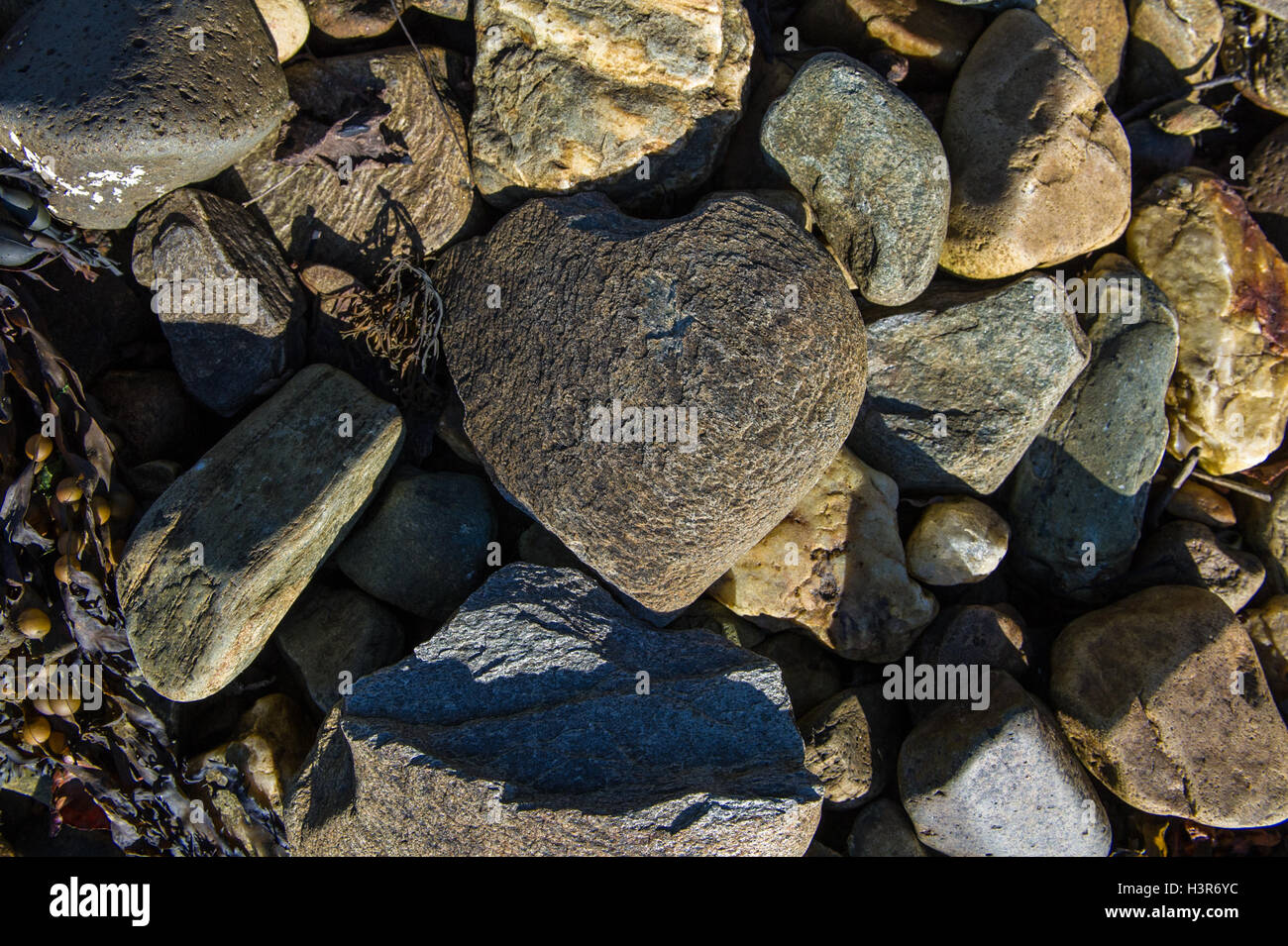 Heart shaped stone pebble hi-res stock photography and images - Alamy