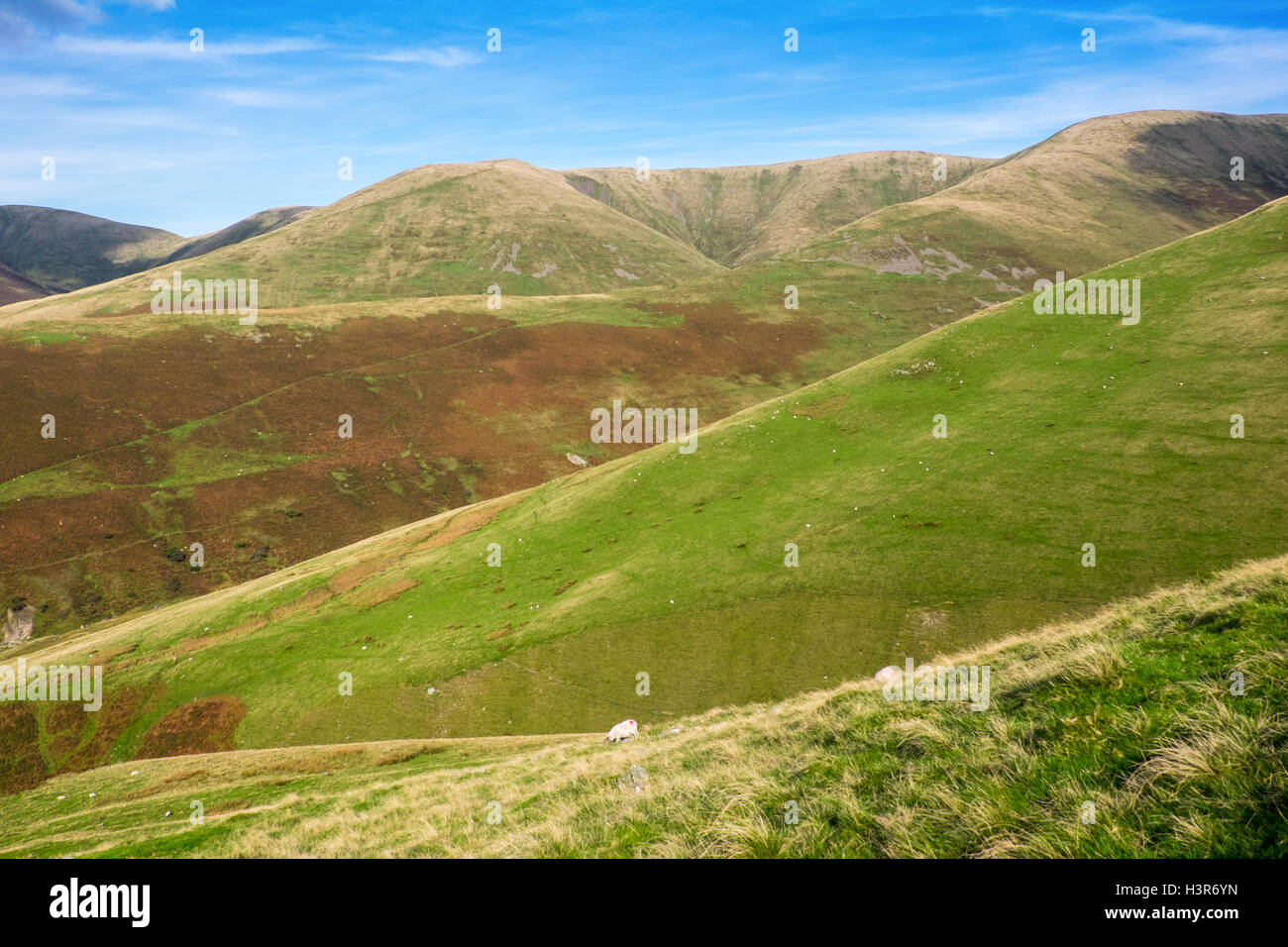The calf lake district hi-res stock photography and images - Alamy