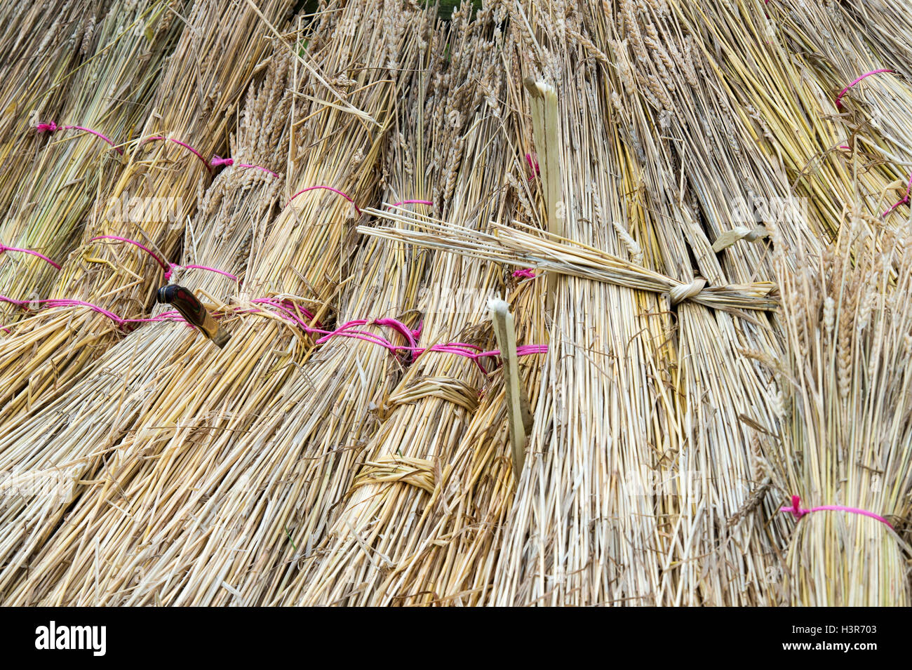 Thatching pattern hi-res stock photography and images - Alamy