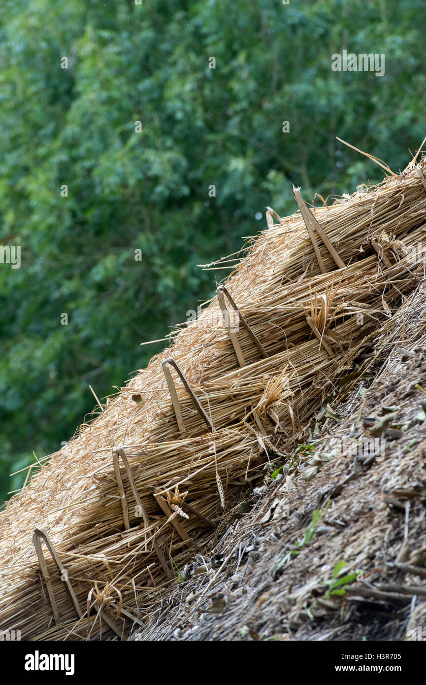 Old straw thatch england detail hi-res stock photography and images - Alamy