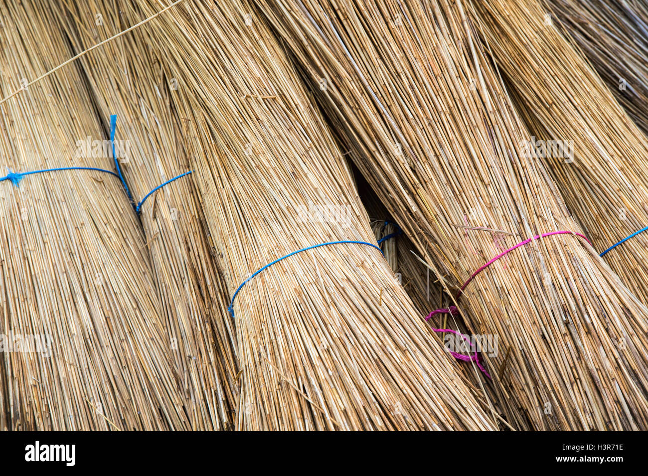 Reed thatch demonstration at Weald and Downland open air museum, autumn ...