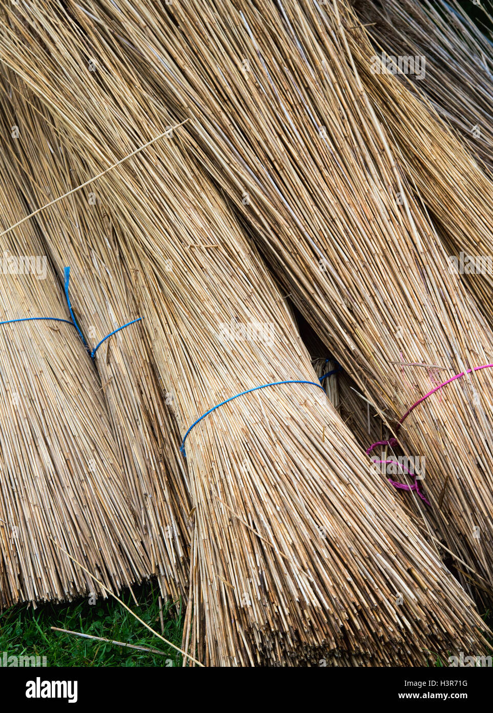 Reed thatch demonstration at Weald and Downland open air museum, autumn ...