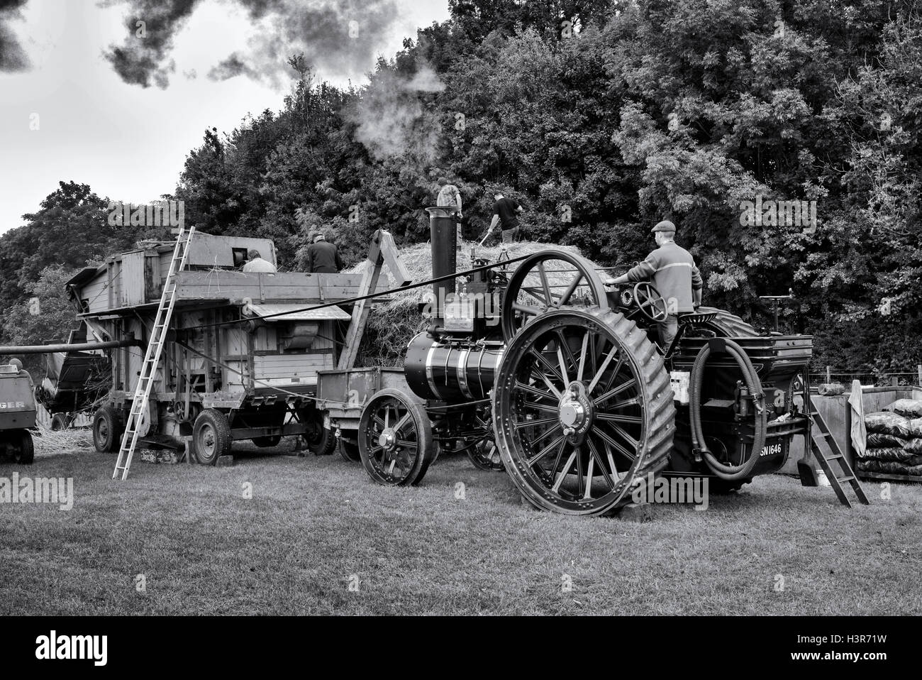 Traction engine powering threshing machine hi-res stock photography and ...