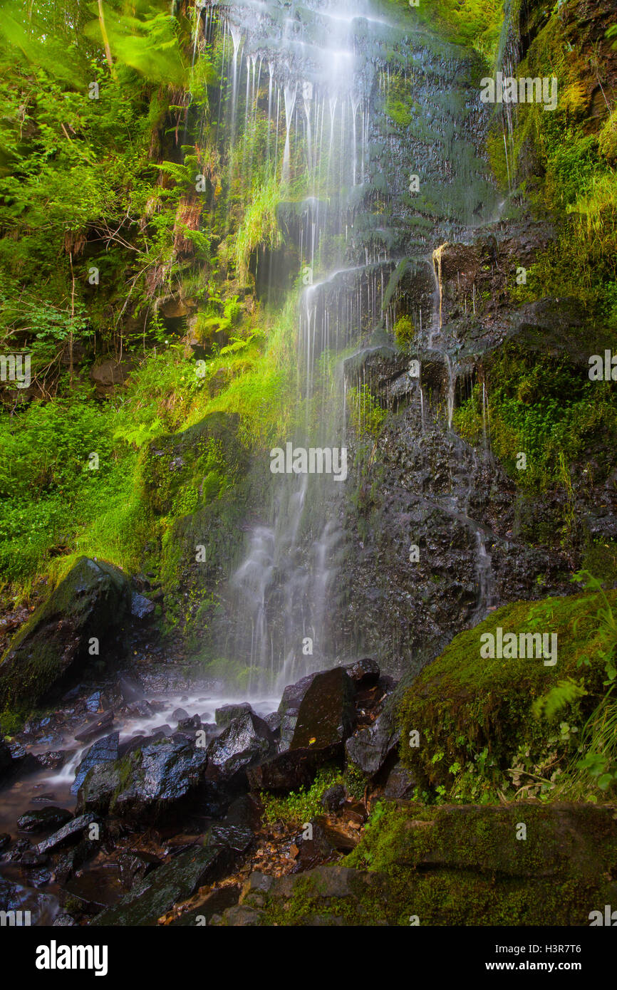 Mallyan Spout Waterfall / Mallyan Spout waterfall at Goathland in the ...