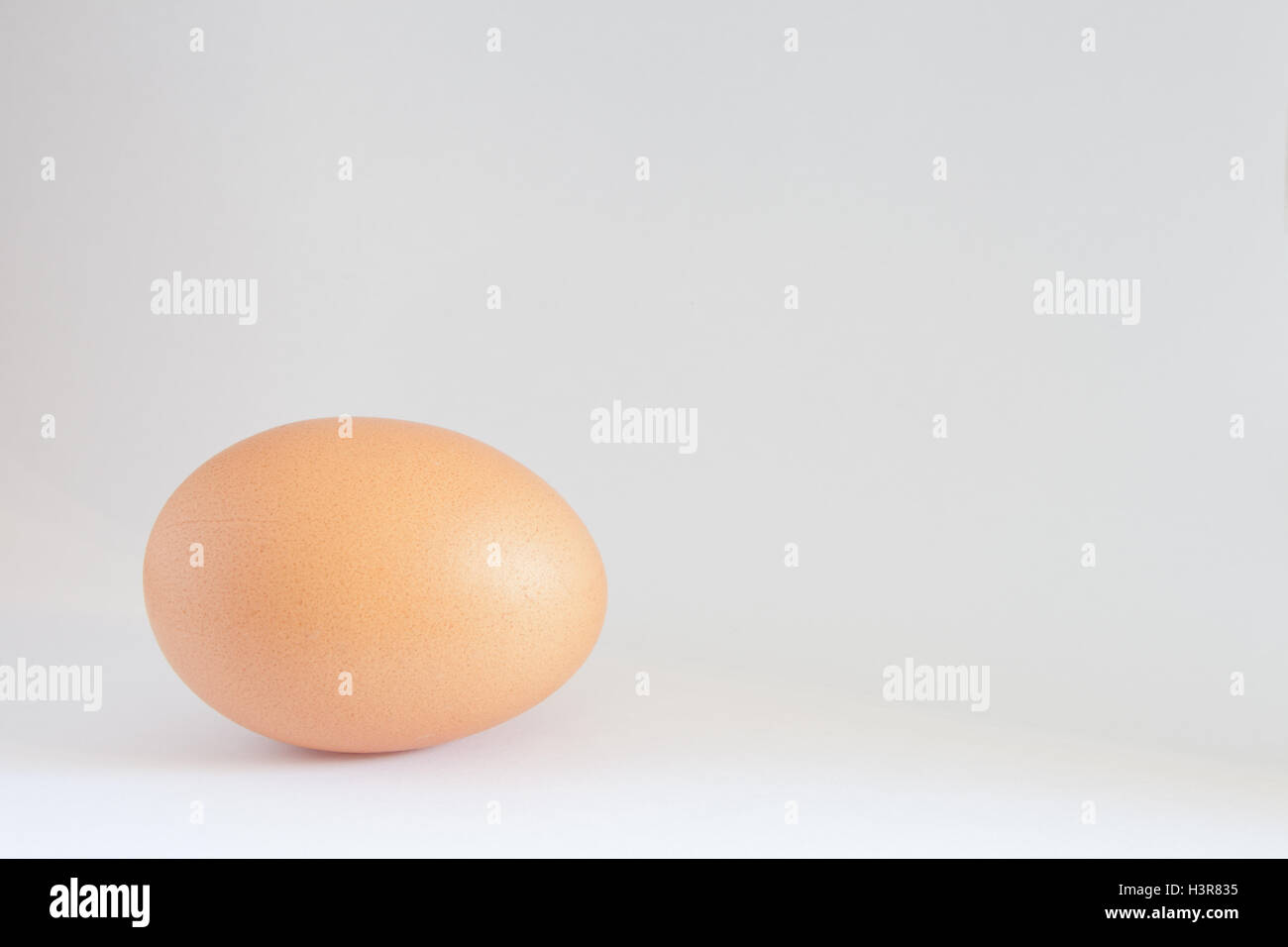 single isolated egg in grey background Stock Photo - Alamy
