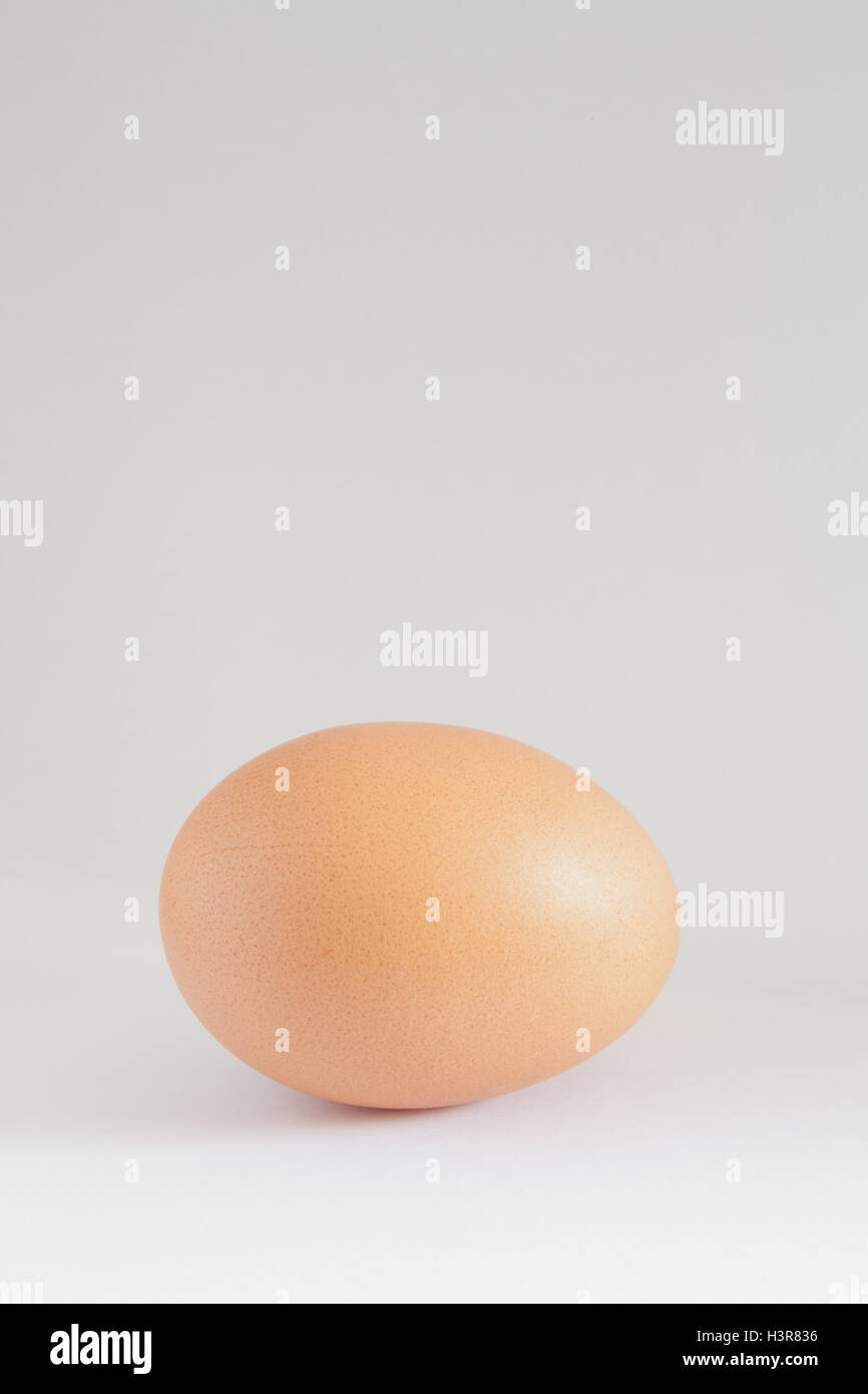 single isolated egg in grey background Stock Photo - Alamy