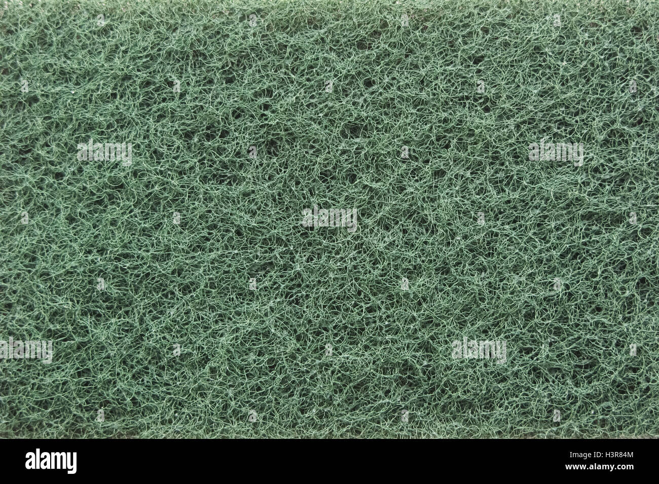 Green sponge for dishes texture Stock Photo - Alamy