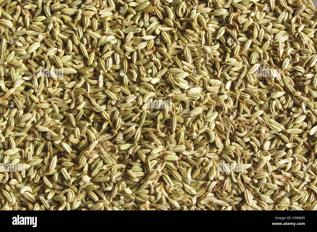 fennel seeds texture Stock Photo - Alamy