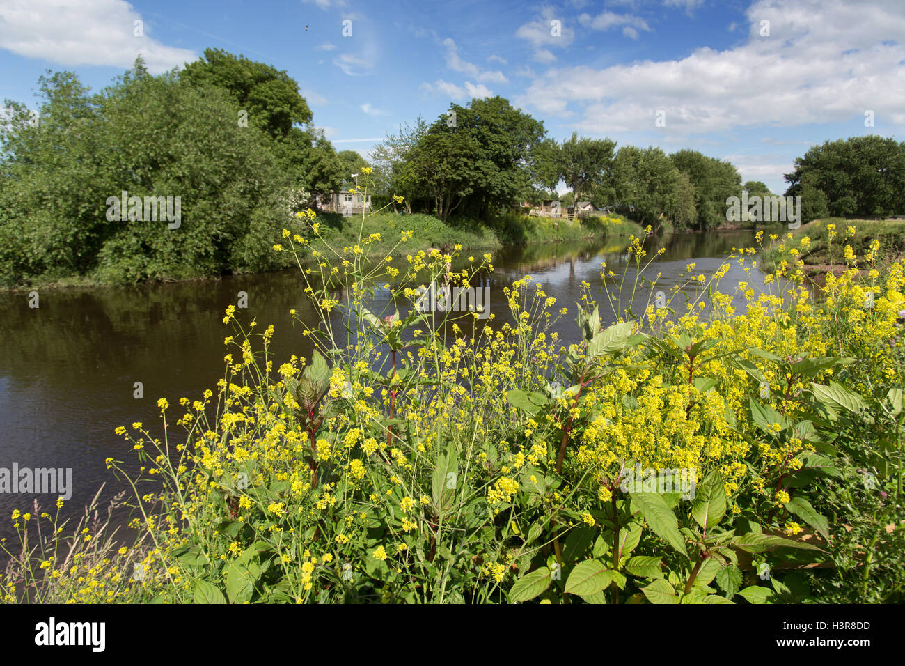 River Dee, Cheshire, England. Picturesque summer view of the River Dee ...