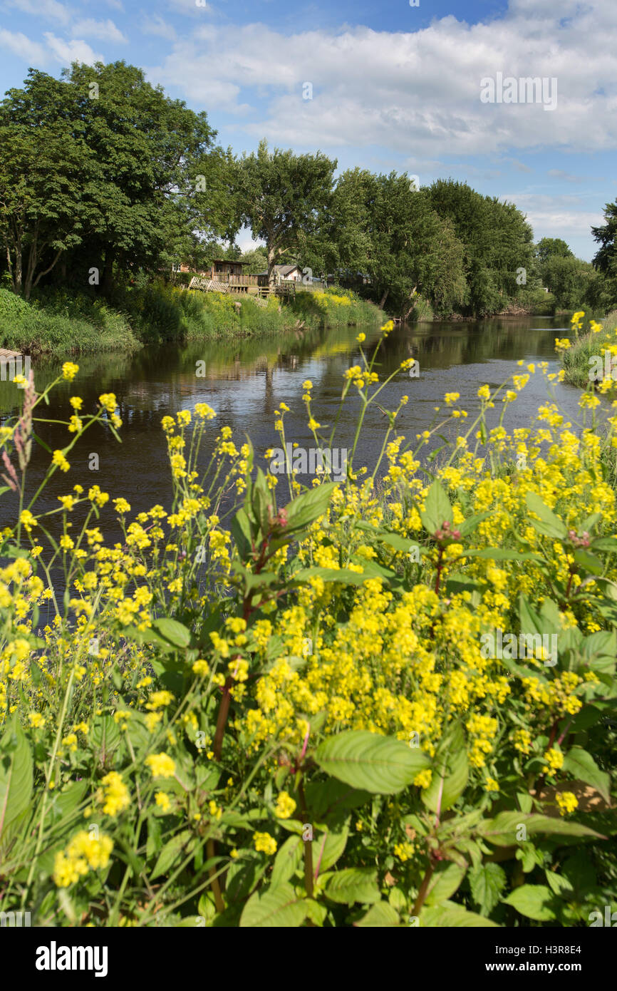 River Dee, Cheshire, England. Picturesque summer view of the River Dee ...