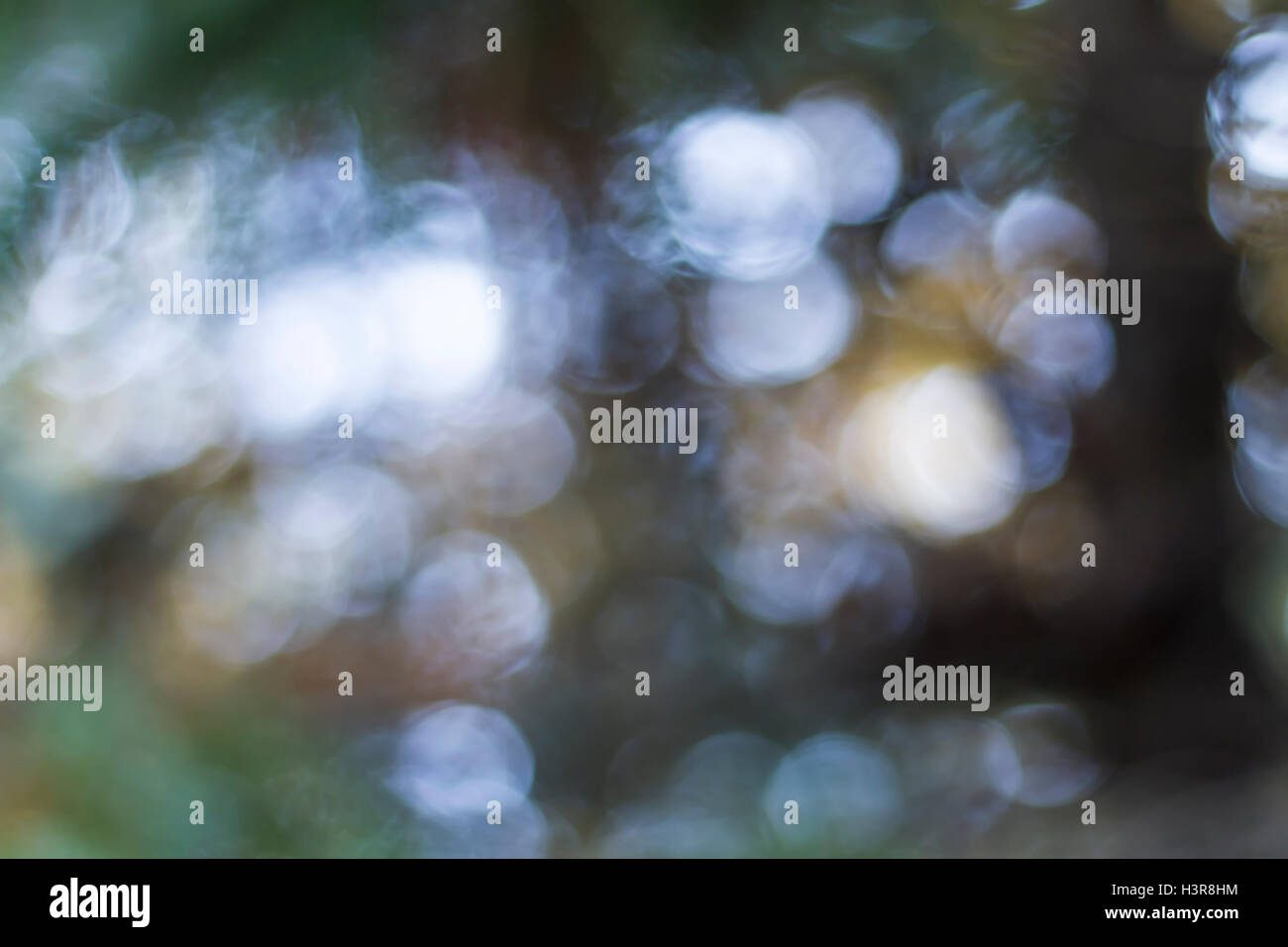 Bokeh background of trees hi-res stock photography and images - Alamy