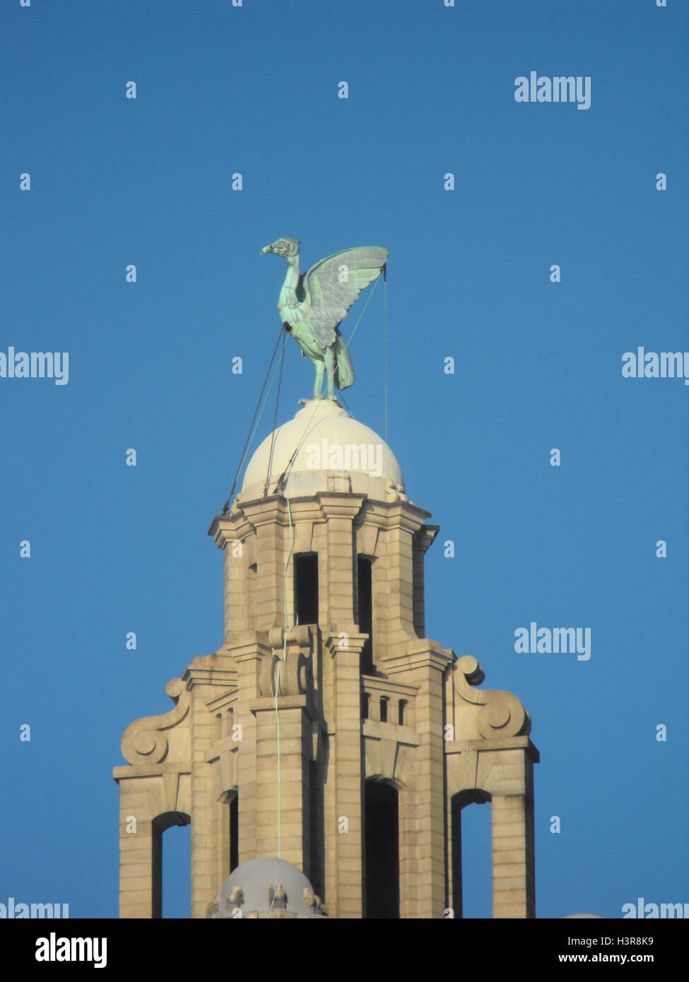 The iconic Royal Liver Building in Liverpool. The building is owned (as ...