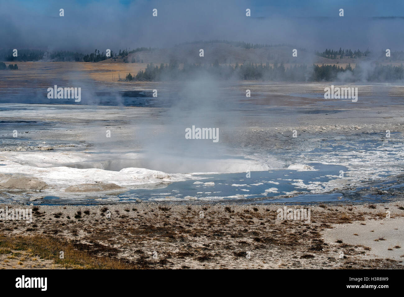 Yellowstone NP, Wyoming, Lower Geyser Basin Stock Photo - Alamy