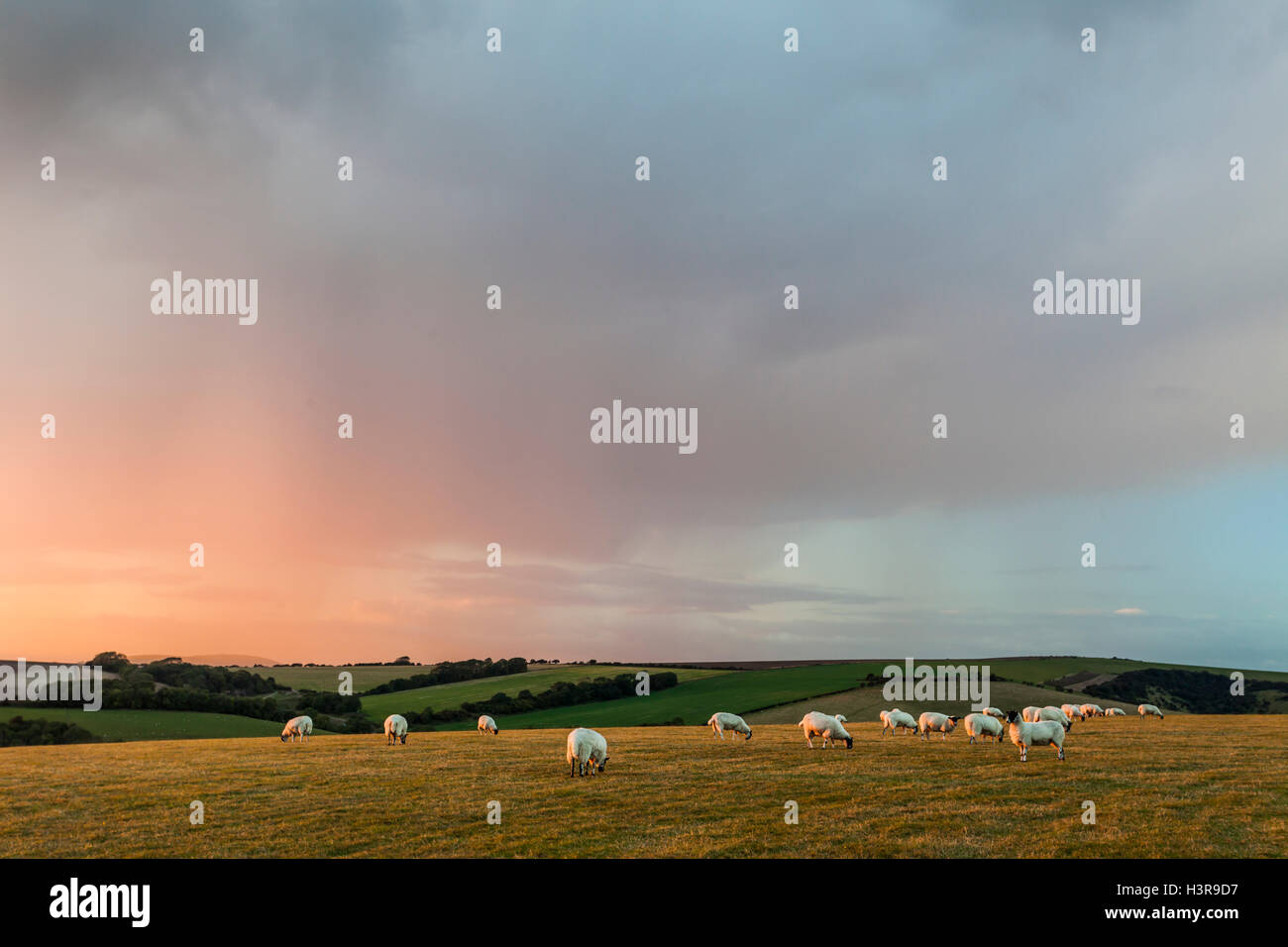 Autumn sunset in South Downs National Park, East Sussex, England Stock ...