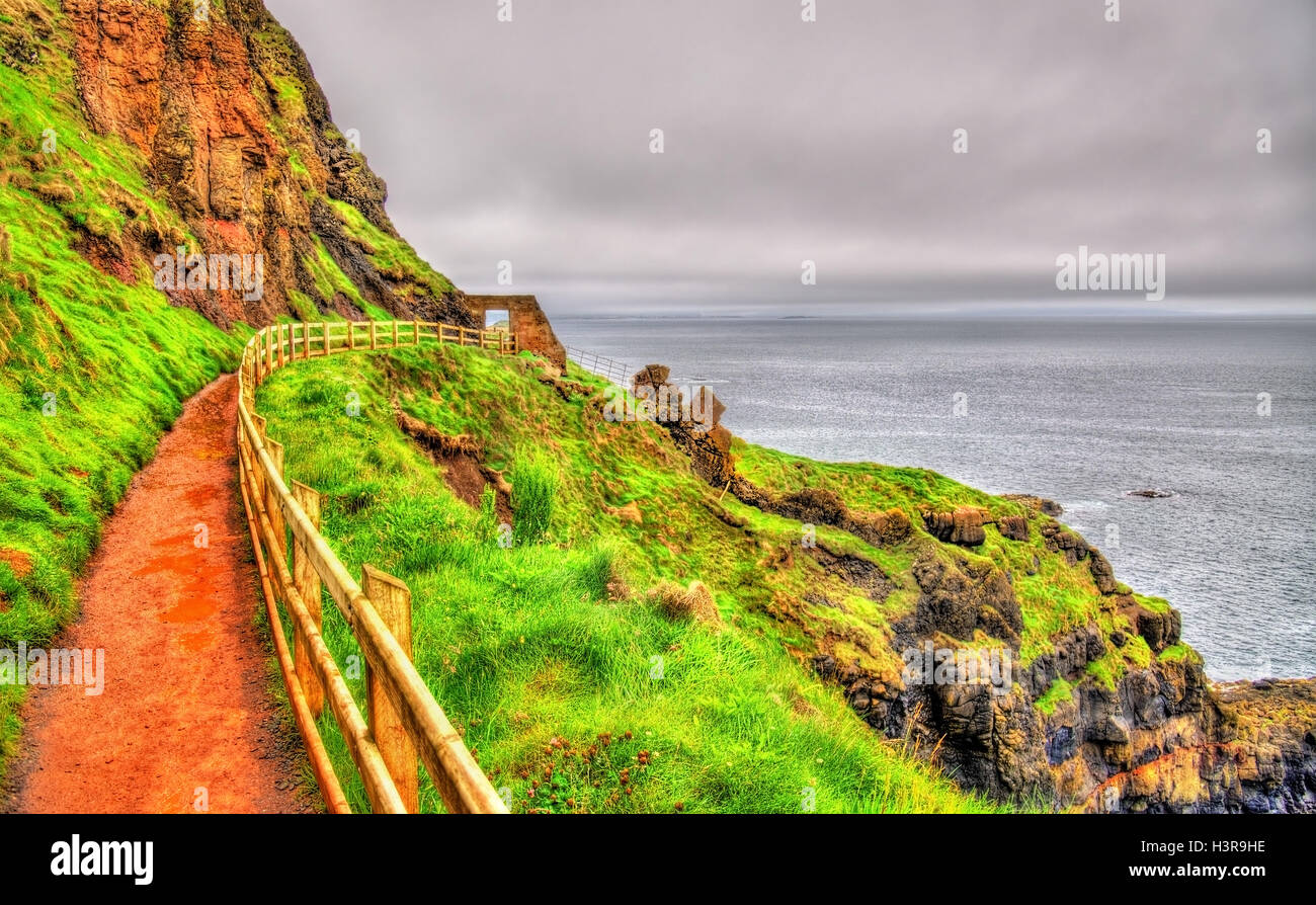 Path along the Giant's Causeway in Northern Ireland Stock Photo - Alamy