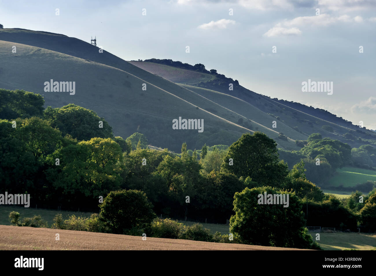 Fulking Escarpment in the South Downs National Park in soft afternoon ...